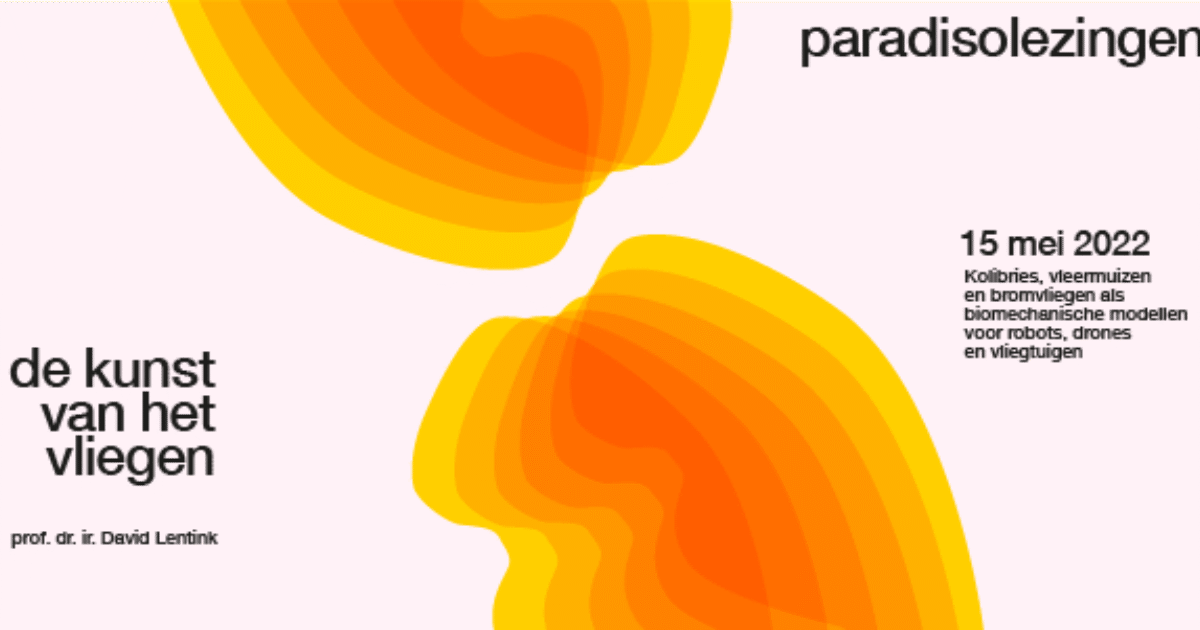 Paradisolezing De Voorspelling - David Lentink | Paradiso